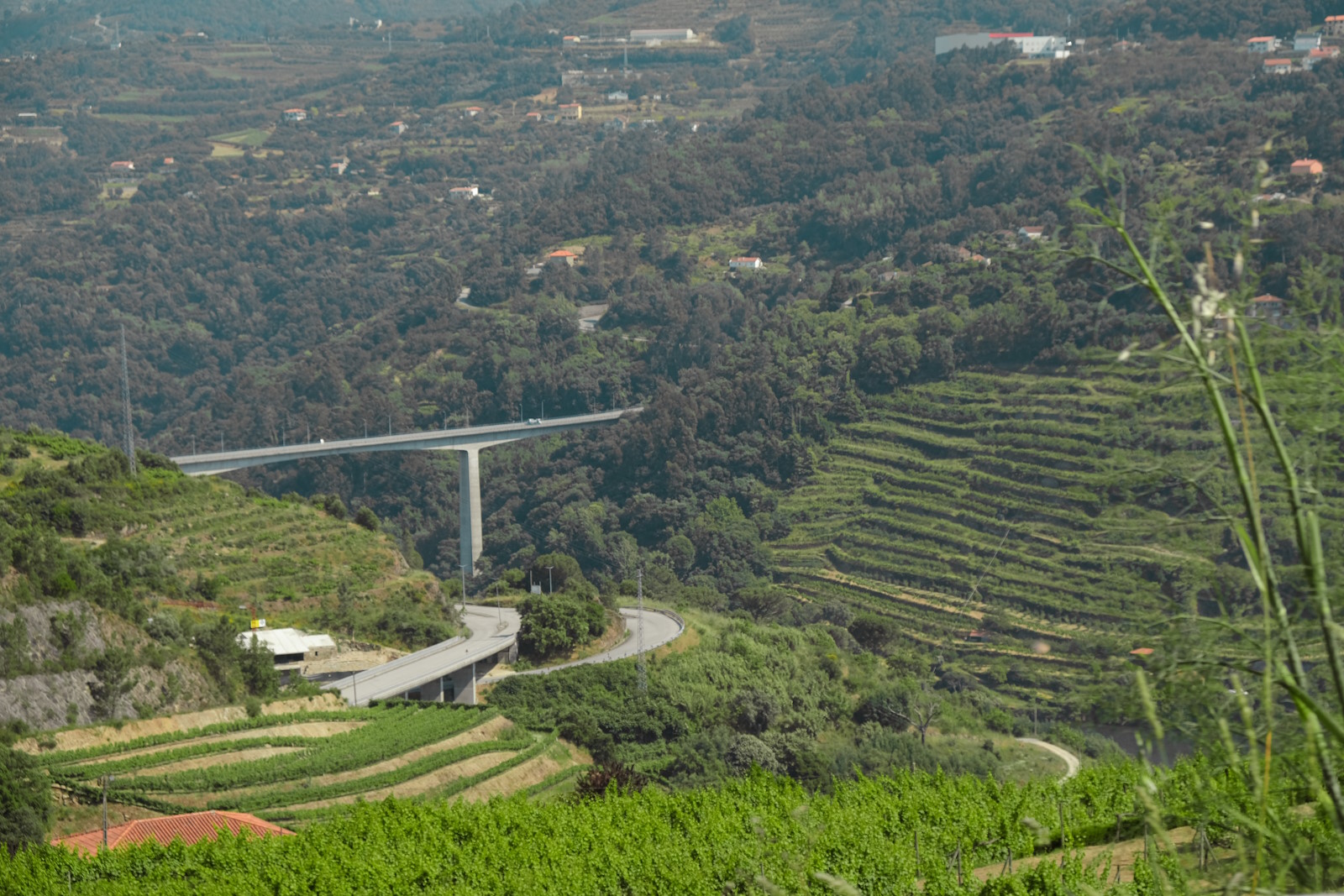 Ligação de Baião à Ponte da Ermida – Primeira fase avança no terreno ...
